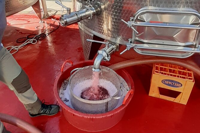 4-Hour Guided E-bike Tour of the Two Wineries in Bardolino - Meeting Point and Start Time