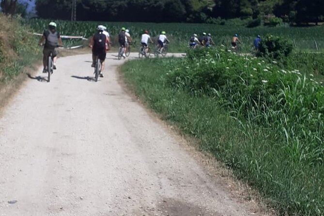 4-Hour Guided E-bike Tour of the Two Wineries in Bardolino - Traveler Feedback