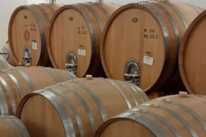 4-Hour Guided E-bike Tour of the Two Wineries in Bardolino - Booking and Availability