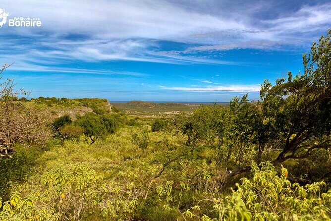 4-Hour Guided Island Tour in Bonaire for Singles and Doubles - An In-Depth Look at the Bonaire 4-Hour Guided Tour