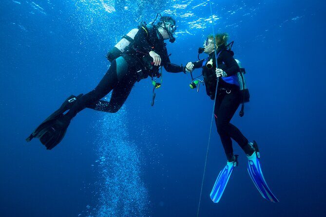 4 Hour Guided Scuba Diving Adventures in Waikiki - Introduction