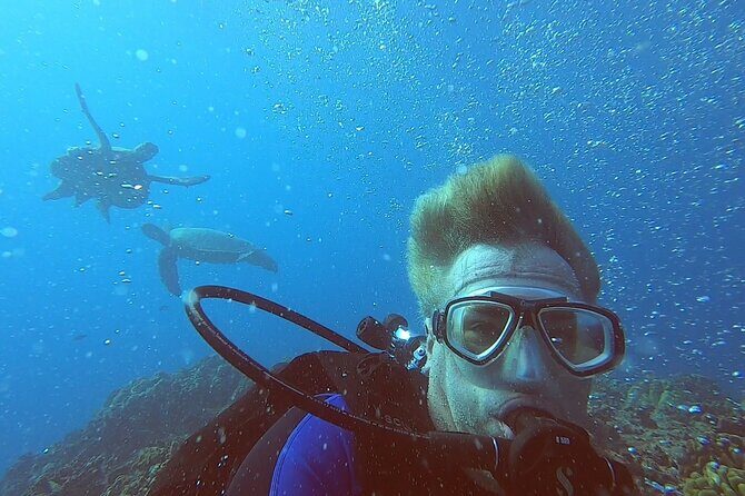 4 Hour Guided Scuba Diving Adventures in Waikiki - Who will love this experience?