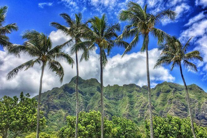 4 Hour Half Day Island Jeep Tour - Practical Tips for Booking & Enjoying the Tour