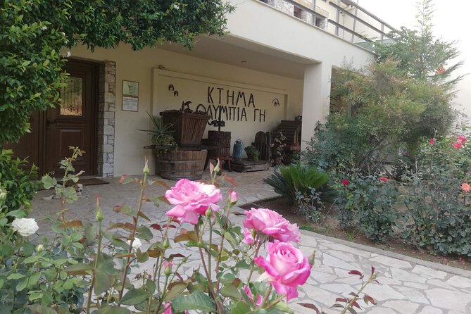 4 Hour Katakolon Shore Excursion (Olympia - Winery - Beach) - Included Services and Accessibility