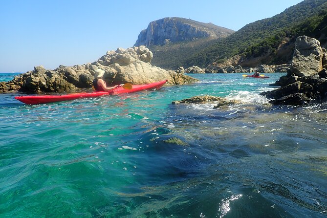 4-Hour Kayak Tour at Capo Figari (Golfo Aranci) - Wildlife & Snorkeling
