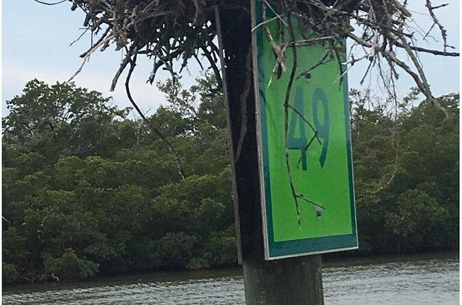 4 Hour Keewaydin Island Beach Tour - Key Points