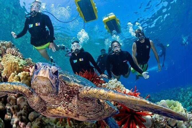 4-Hour Koa Kai Molokini Adventure Snorkel - Overview of the Tour
