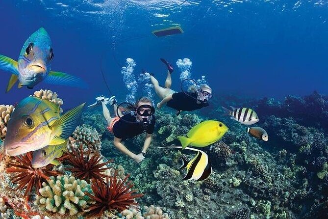 4-Hour Koa Kai Molokini Adventure Snorkel - Pricing and Value