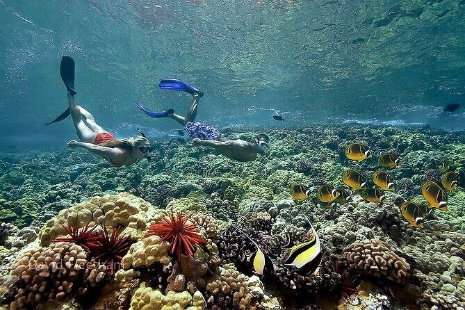 4-Hour Koa Kai Molokini Adventure Snorkel - Practical Information