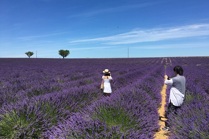 4-Hour Lavender Fields Tour in Valensole From Aix-En-Provence - Exploring the Village of Valensole