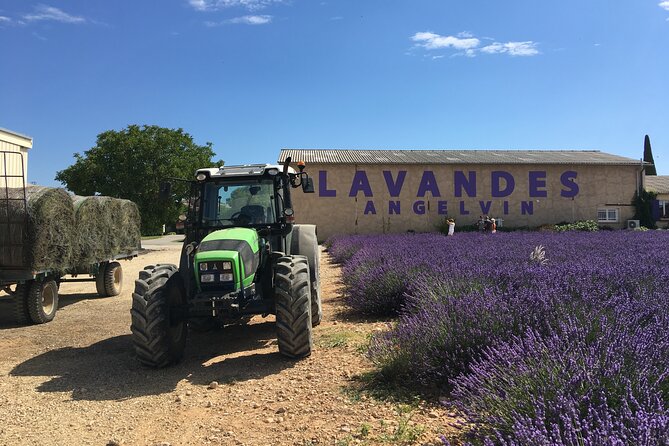 4-Hour Lavender Fields Tour in Valensole From Aix-En-Provence - Transportation and Amenities