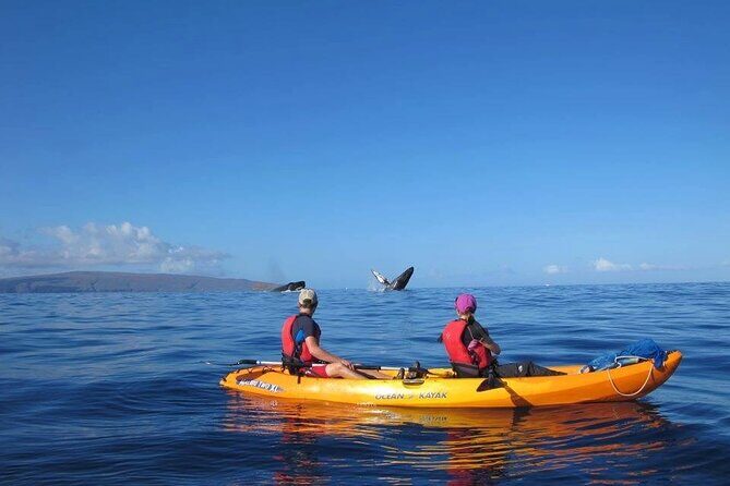 4-Hour Makena Whale Watch Tour - FAQ