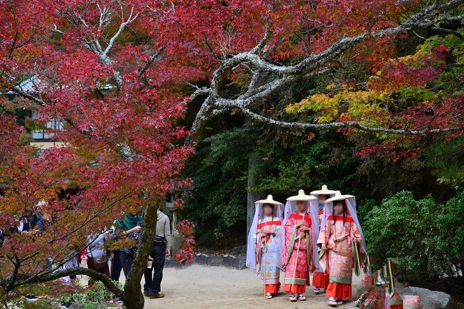 4 Hour Miyajima PRIVATE Tour - Accessibility and Additional Info