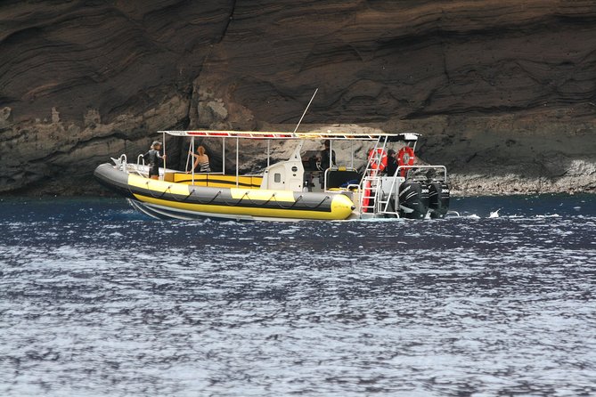4 Hour Molokini Snorkel Tour Adventure in Maui - Key Points