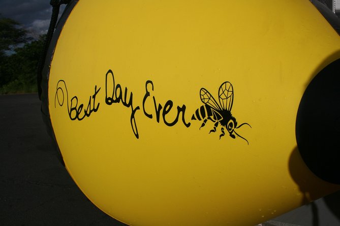 4 Hour Molokini Snorkel Tour Adventure in Maui - Exploring Molokini Crater, Cove, and Coral Forest