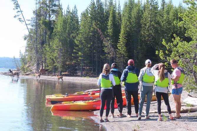4-Hour Morning Kayak on Yellowstone Lake With Lunch - Pricing and Cancellation Policy