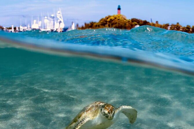 4 Hour Narrated Sightseeing Tours & Sunset Trips: West Palm Beach - Practical Details: What You Need to Know