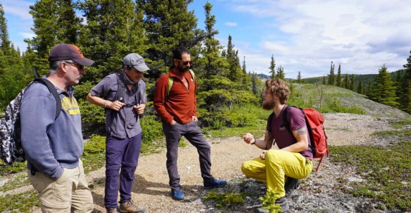4 Hour Off-Trail Wilderness Wonders Tour in Denali - An In-Depth Look at the Wilderness Wonders Tour