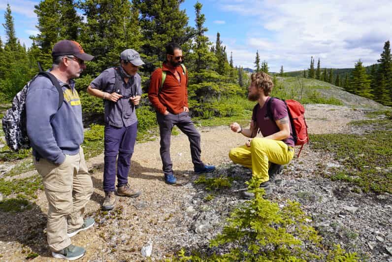 4 Hour Off-Trail Wilderness Wonders Tour in Denali - Frequently Asked Questions