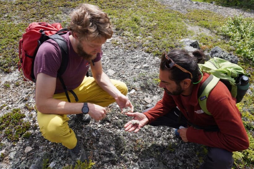 4 Hour Off-Trail Wilderness Wonders Tour in Denali - Wrapping It Up
