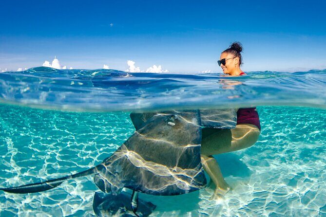 4 hour Private Boat charter to Stingray City, Snorkeling and More - Introduction: What to Expect from this Private Boat Tour