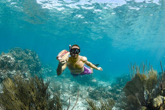 4 hour Private Boat charter to Stingray City, Snorkeling and More - Why This Tour Will Appeal to You