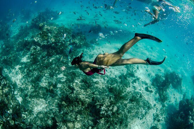 4 hour Private Boat charter to Stingray City, Snorkeling and More - The Sum Up: Who Should Book This Tour?