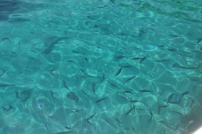 4-Hour Private Boat Tour in Corfu Review - Personalized Attention and Hospitality