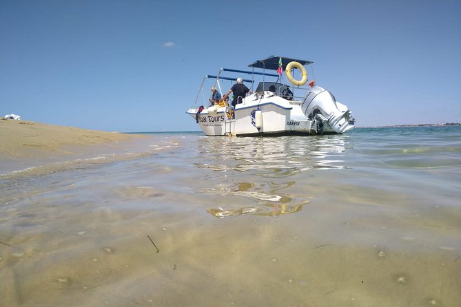 4-Hour Private Boat Tour in Ria Formosa - Positive Customer Reviews