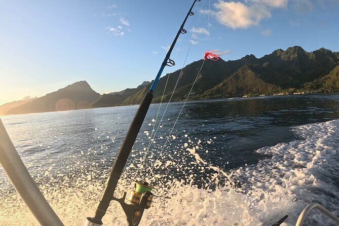 4 Hour Private Fishing Discovery Tour - Introduction