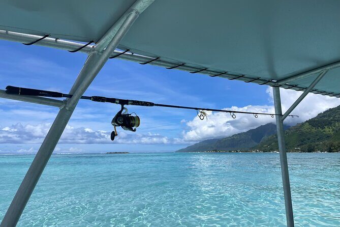 4 Hour Private Fishing Discovery Tour - Key Points