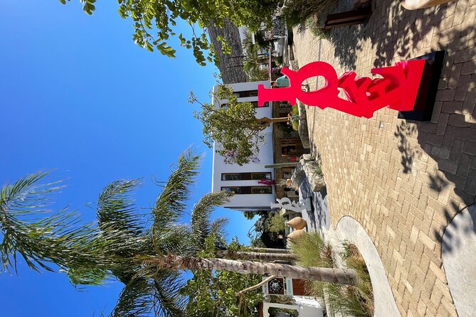 4 Hour Private Island Tour in Mykonos - Mykonos in a Day - Tour Accessibility and Participation