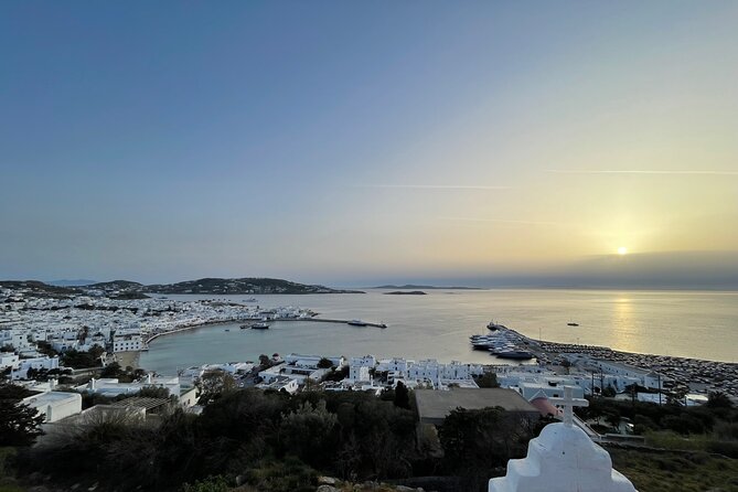 4 Hour Private Island Tour in Mykonos - Mykonos in a Day - Commitment to Customer Satisfaction