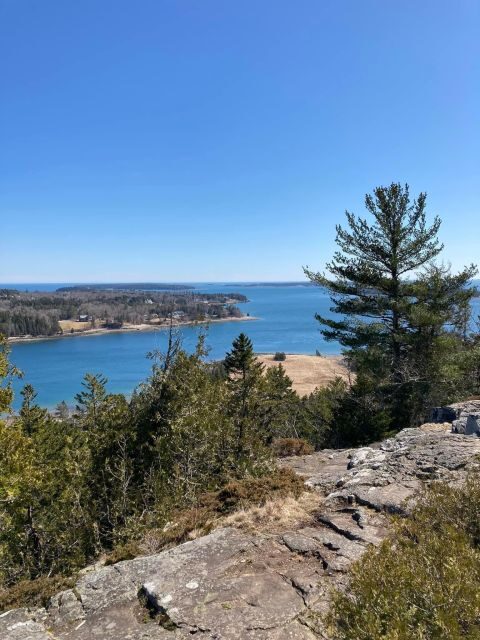 4 Hour Private Tour: Acadia, Fjord, Gardens & Mansions - Key Points