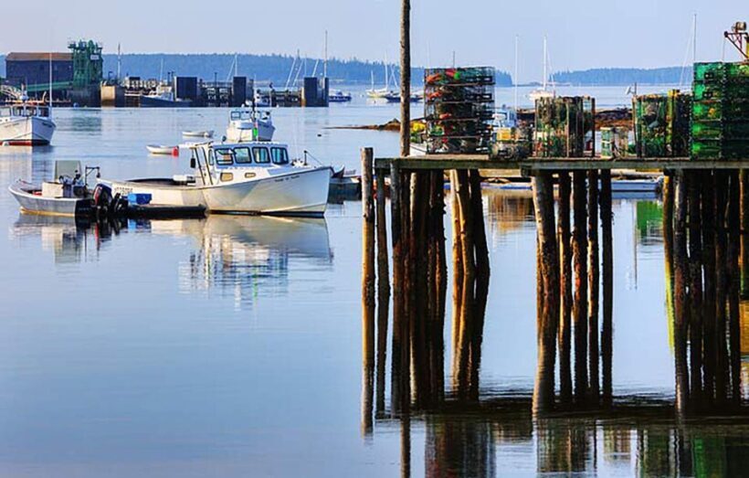 4 Hour Private Tour: Acadia, Fjord, Gardens & Mansions - A Deep Dive into the Tour Experience