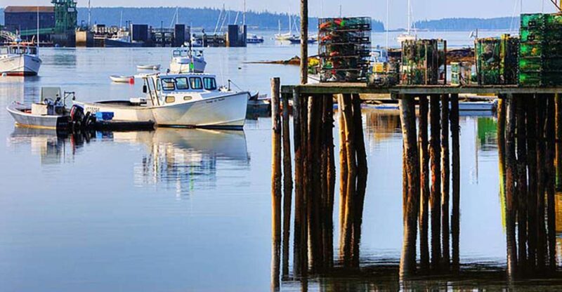 4 Hour Private Tour: Acadia, Fjord, Gardens & Mansions - Frequently Asked Questions