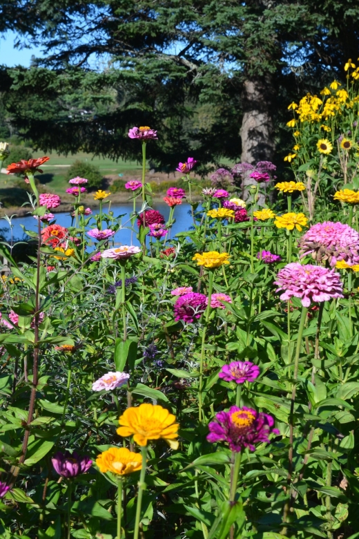 4 Hour Private Tour: Acadia, Fjord, Gardens & Mansions - Final Thoughts