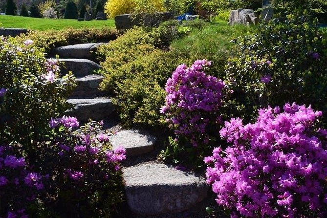 4 Hour Private Tour: Explore Acadia Nat'l Park, Fjord & Mansions - The Sum Up