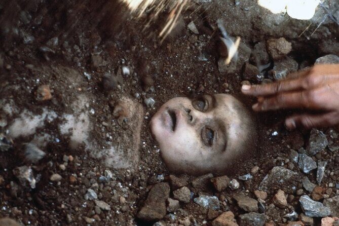 4-Hour Private Tour of the Bhopal Gas Tragedy Site - Who Will Benefit from This Tour?