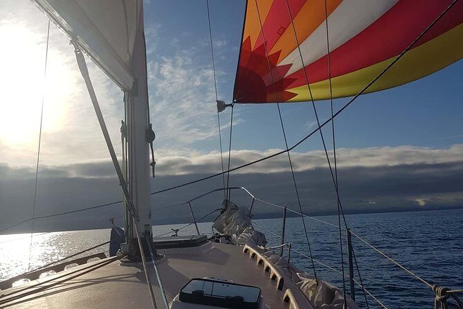 4-Hour Sailing Adventure on The Strait of Juan de Fuca - What to Expect: A Step-by-Step Look at Your Day on the Water
