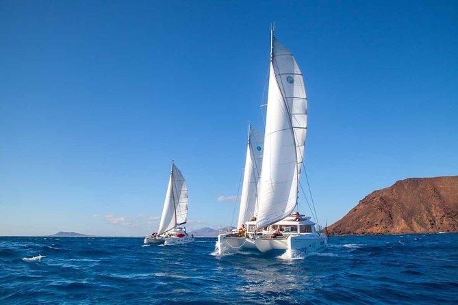 4-Hour Sailing Tour of Lobos Island from Fuerteventura - FAQ