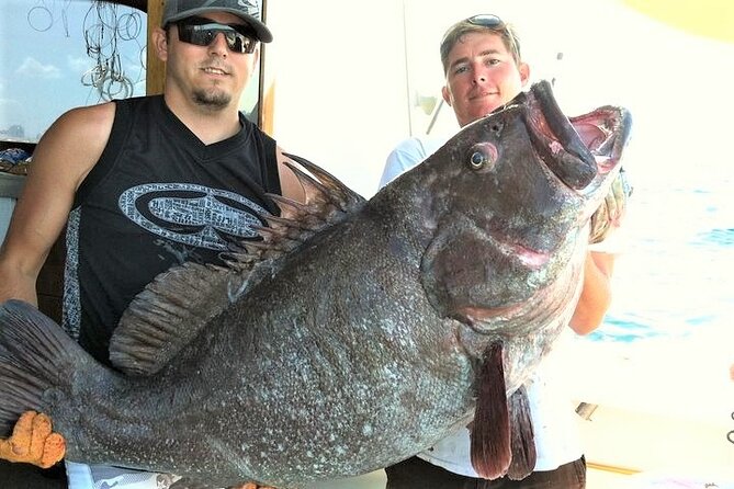 4-Hour Shared Big Game Deep Sea Fishing Charter in Fort Lauderdale - The Sum Up