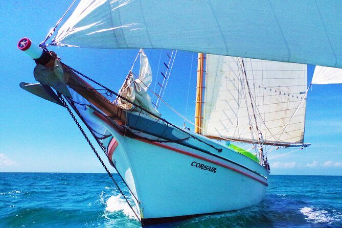 4-hour snorkel cruise to Underwater Sculptures with boat dogs - Why This Tour Offers Great Value