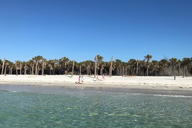 4-Hour St. Pete Pier to Egmont Key Experience by Ferry - Exploring Egmont Key: Beach, Ruins, and Marine Life
