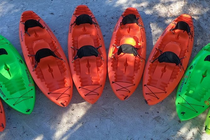 4 Hour Tandem Kayak Rental For Two People In Crystal River, Florida - The Downside: Crowds and Weather