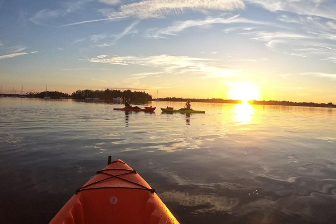 4 Hour Tandem Kayak Rental For Two People In Crystal River, Florida - Who Will Love This?