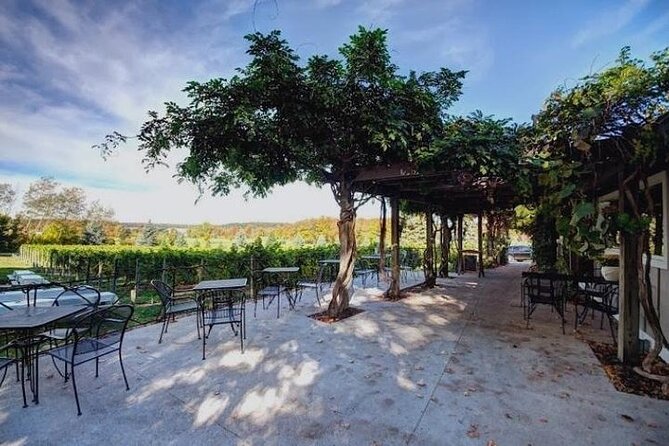 4-Hour Traverse City Sunset Wine Tour: 3 Wineries on Old Mission Peninsula - Amenities and Guidelines