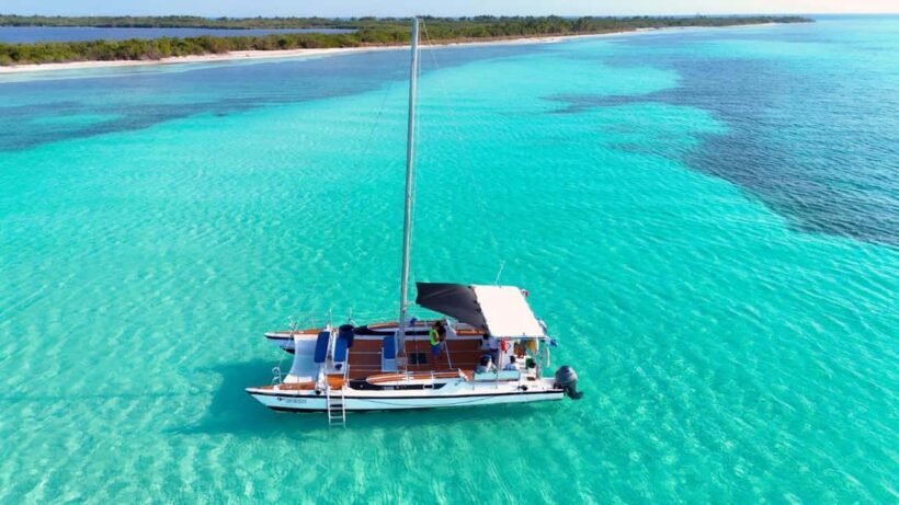 4 Hour Turtle Sanctuary Experience on a Luxury Catamarán - Practical Details: Timing, Pricing, and Suitability