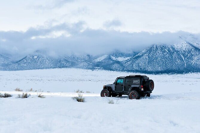 4 hour Vegas Winter Adventure: Mt. Charleston Snow Day - An In-Depth Look at the Experience