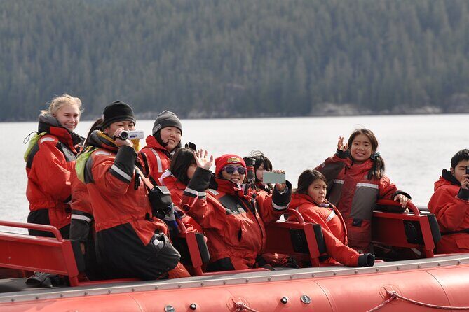 4 hour Zodiac Whale and Wildlife Tour - What Past Travelers Say